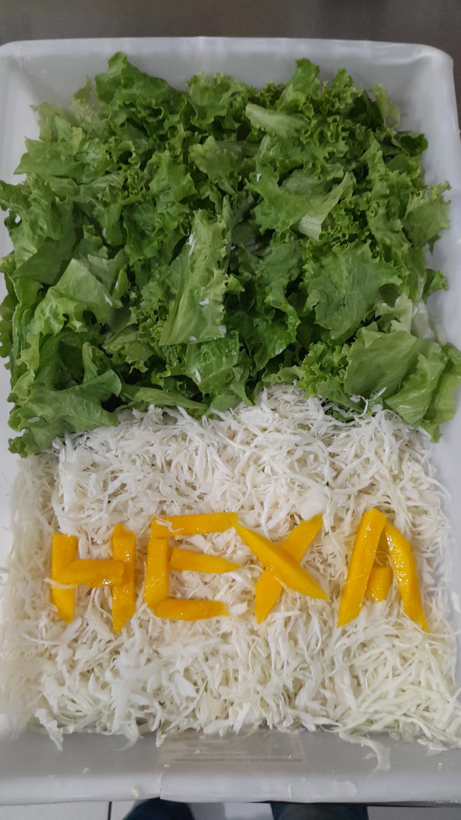 Comida para Cozinha Industrial - Casa Cheff Alimentos: Refeições Coletivas